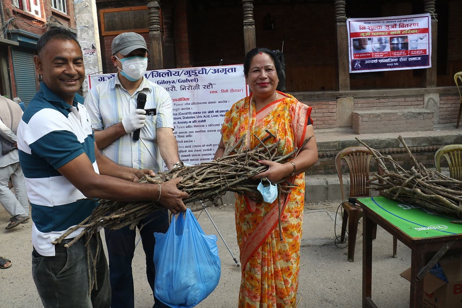 मध्यपुरथिमिमा निःशुल्क गुर्जोको बिरुवा र धूलो वितरण